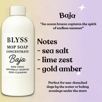 Blyss Natural Scented Mop Soap – blyss