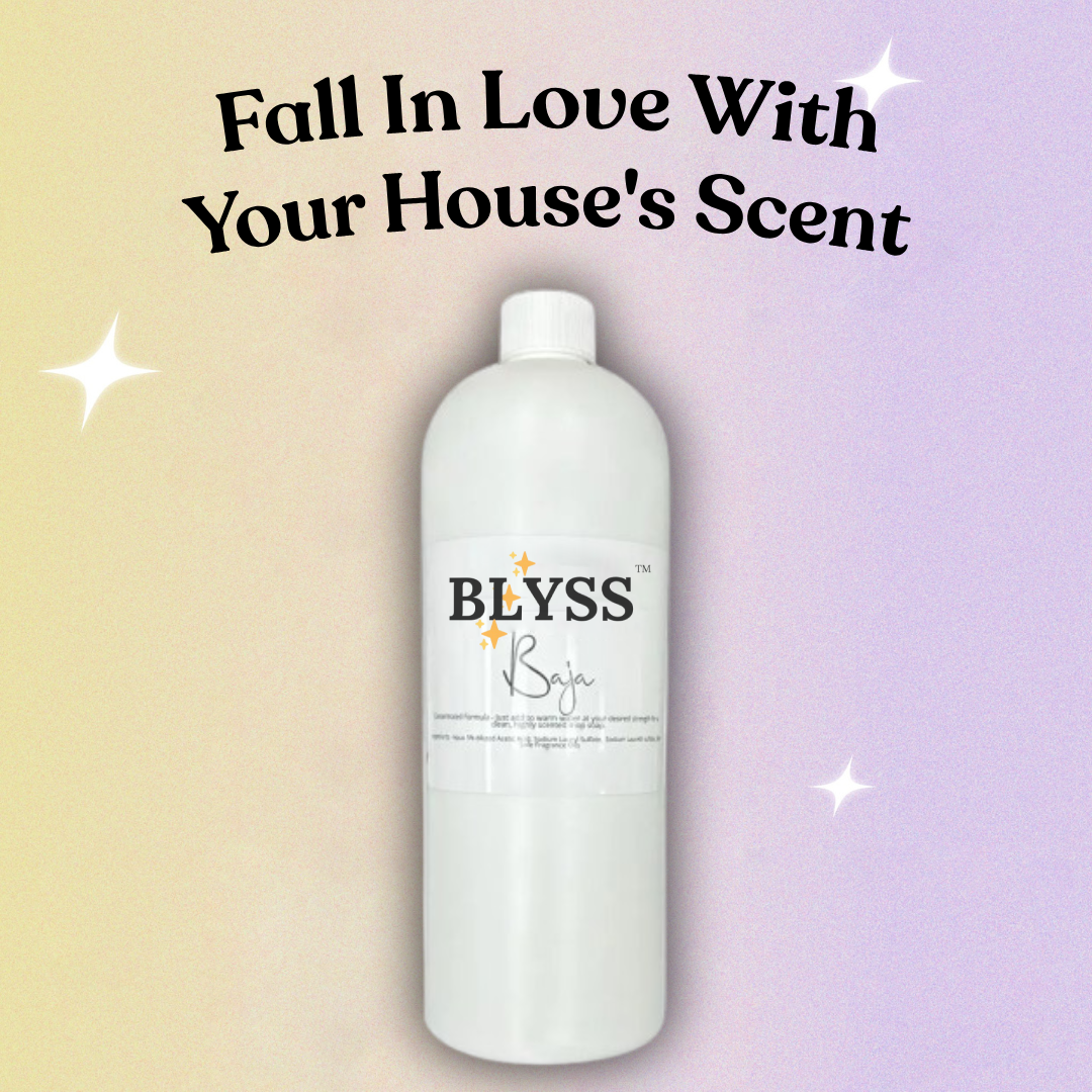 Blyss Natural Scented Mop Soap – blyss